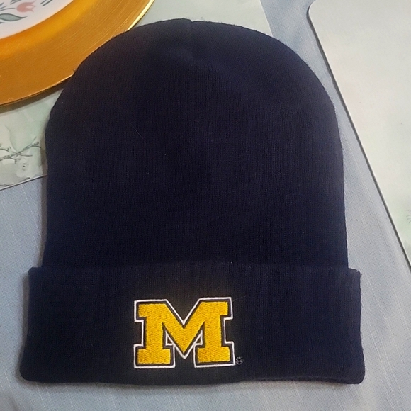 Accessories | University Of Michigan Hat | Poshmark